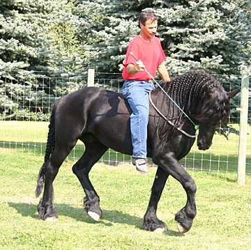 Endotapping Part 2 by Paul Dufresne