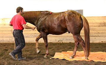 Endotapping Part 3 by Paul Dufresne